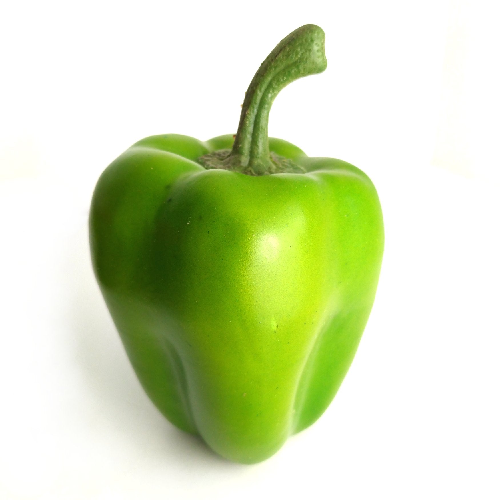 Artficial Green Pepper | Faux Vegetable Prop | Devon Artificial